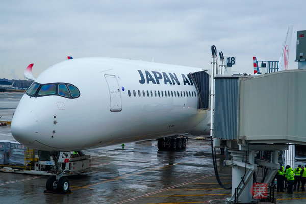 JAL 20年ぶりの新型国際線主力機、パイロットらはどう評価？ すでに主力の姉妹機との違いは | 乗りものニュース